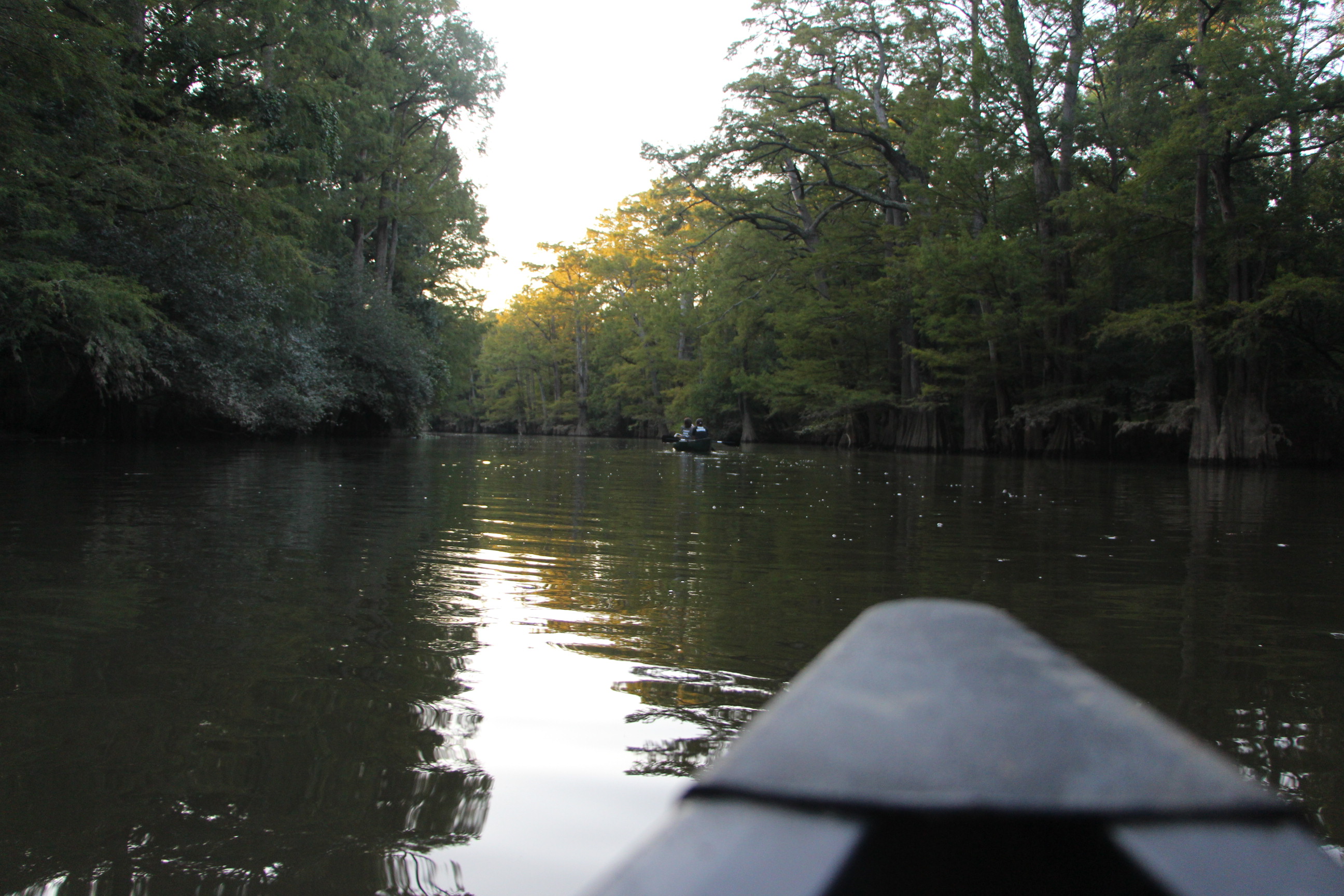 Volunteer Park Ranger Program | City of Little Rock